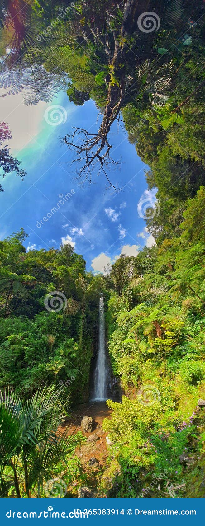 Waterfall of Parang Ijo stock photo. Image of jungle - 265083914