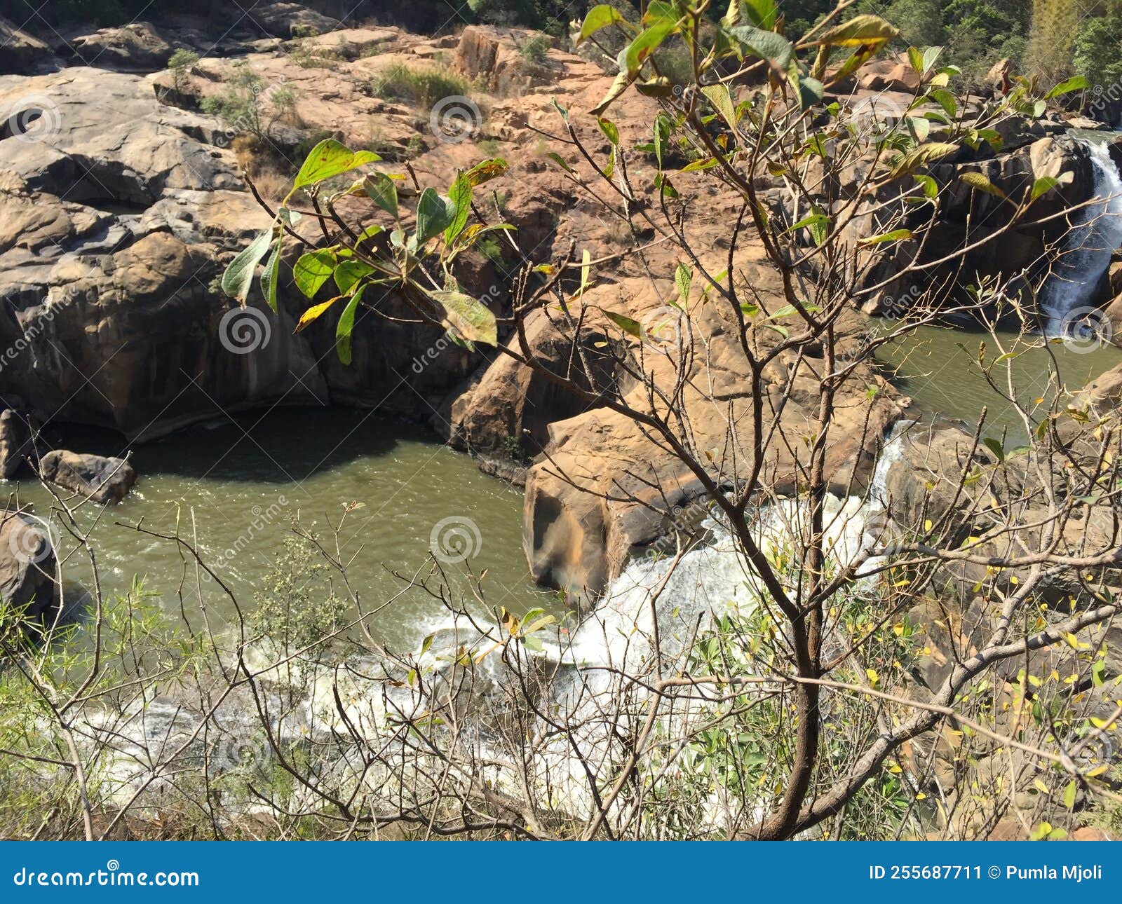 The Waterfall collection stock image. Image of forest - 255687711