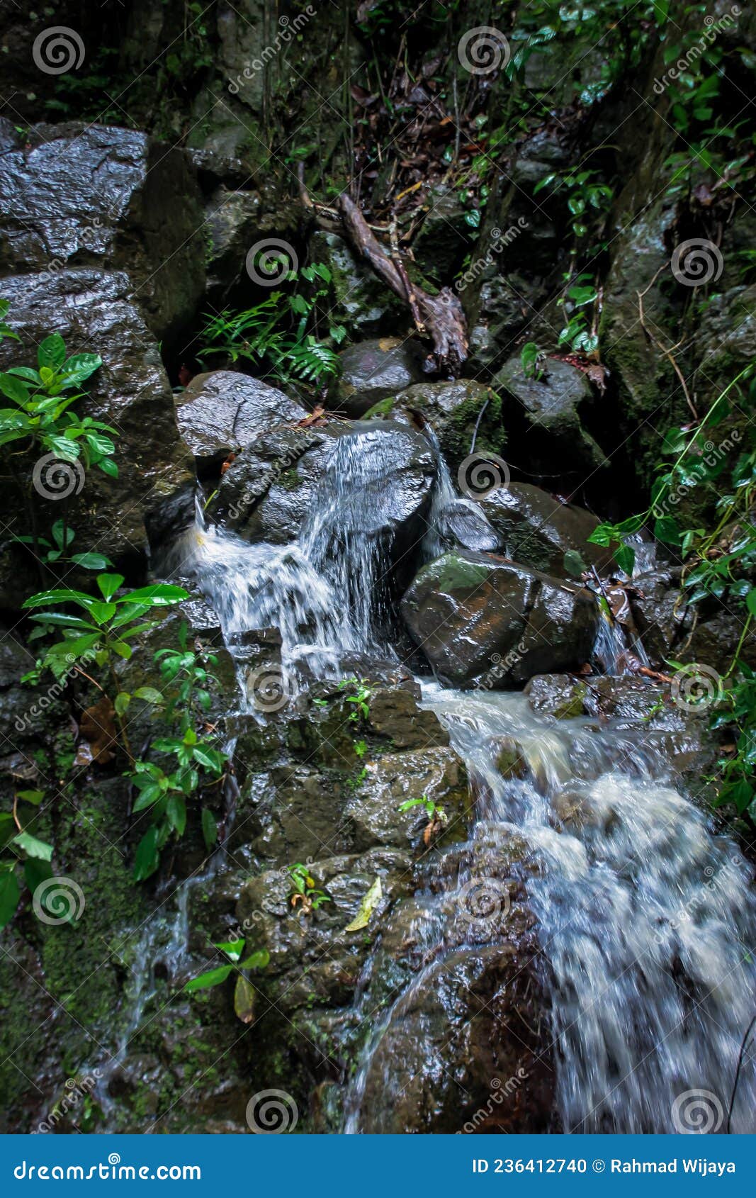 A Waterfall that Passes through the Rocks in the Interior of the Forest ...
