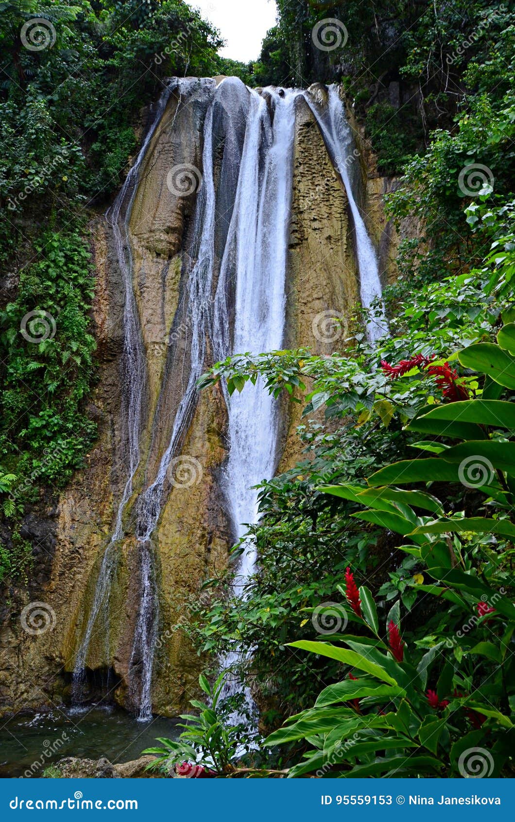 Waterfall in Pentecost Island, Vanuatu Stock Image - Image of tourism ...