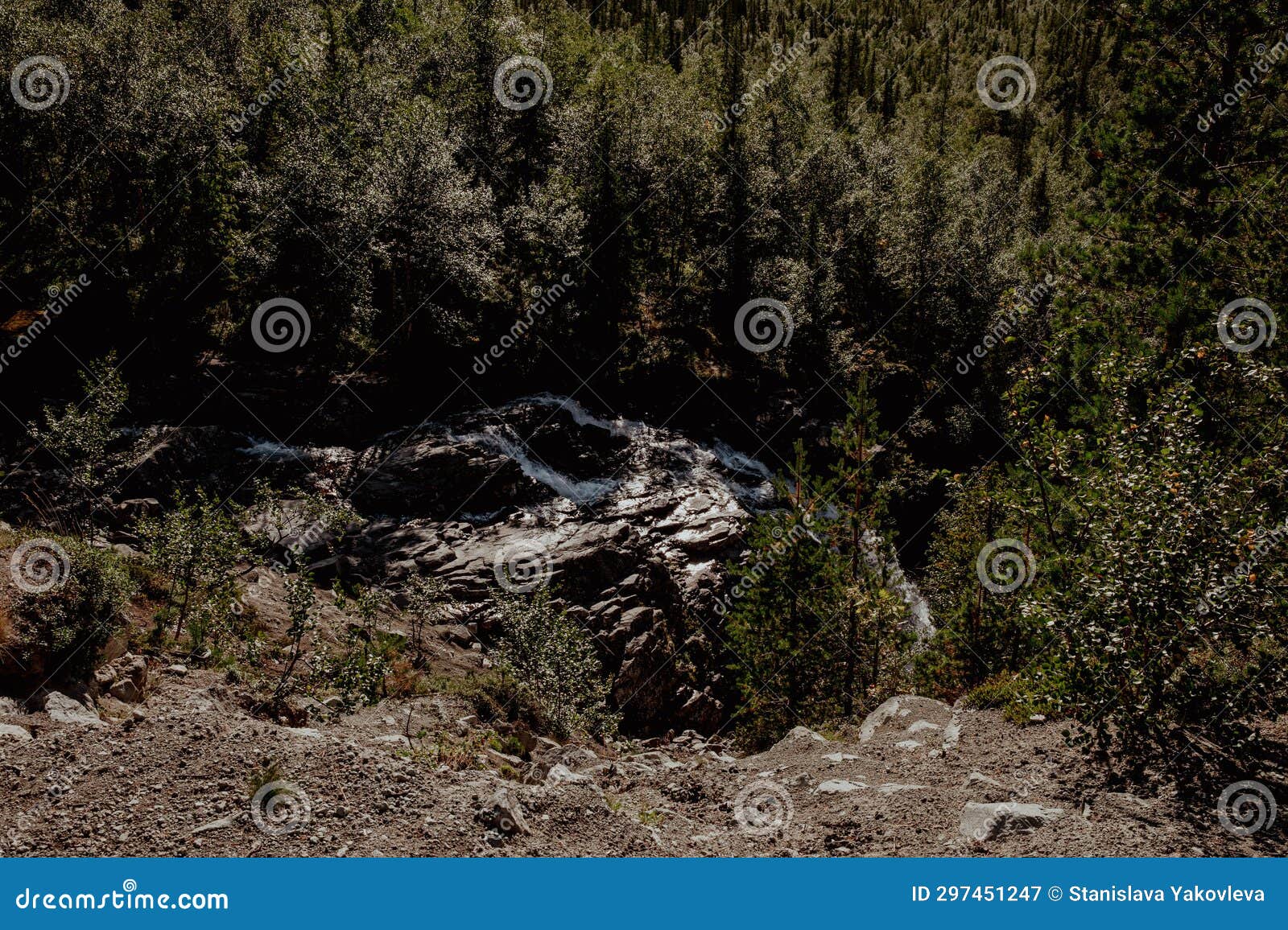 Waterfall among the Pine Forest Flow from the Mountain Stock Image ...