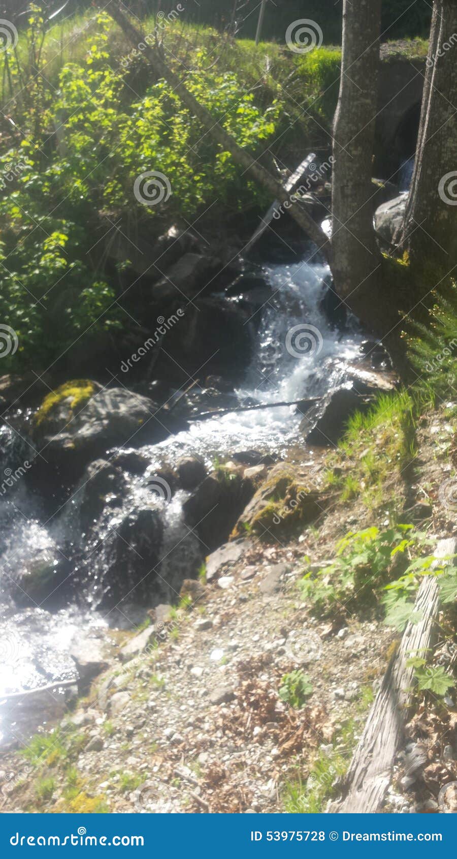 Waterfall stock photo. Image of cemetery, waterfall, pioneer - 53975728