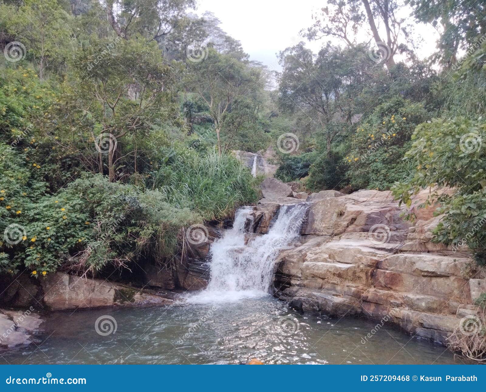 A Waterfall is a Point in a River or Stream Where Water Stock Photo ...