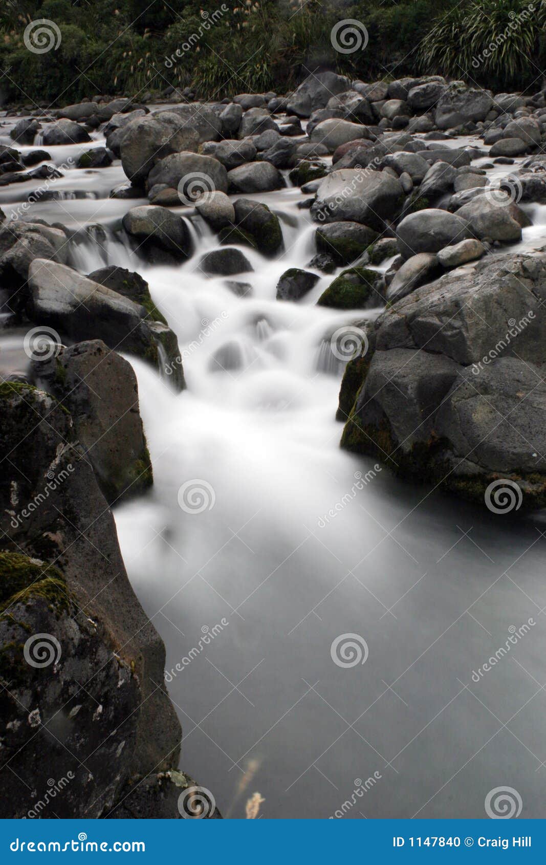 Waterfall into Pool below stock photo. Image of eden, leaf - 1147840
