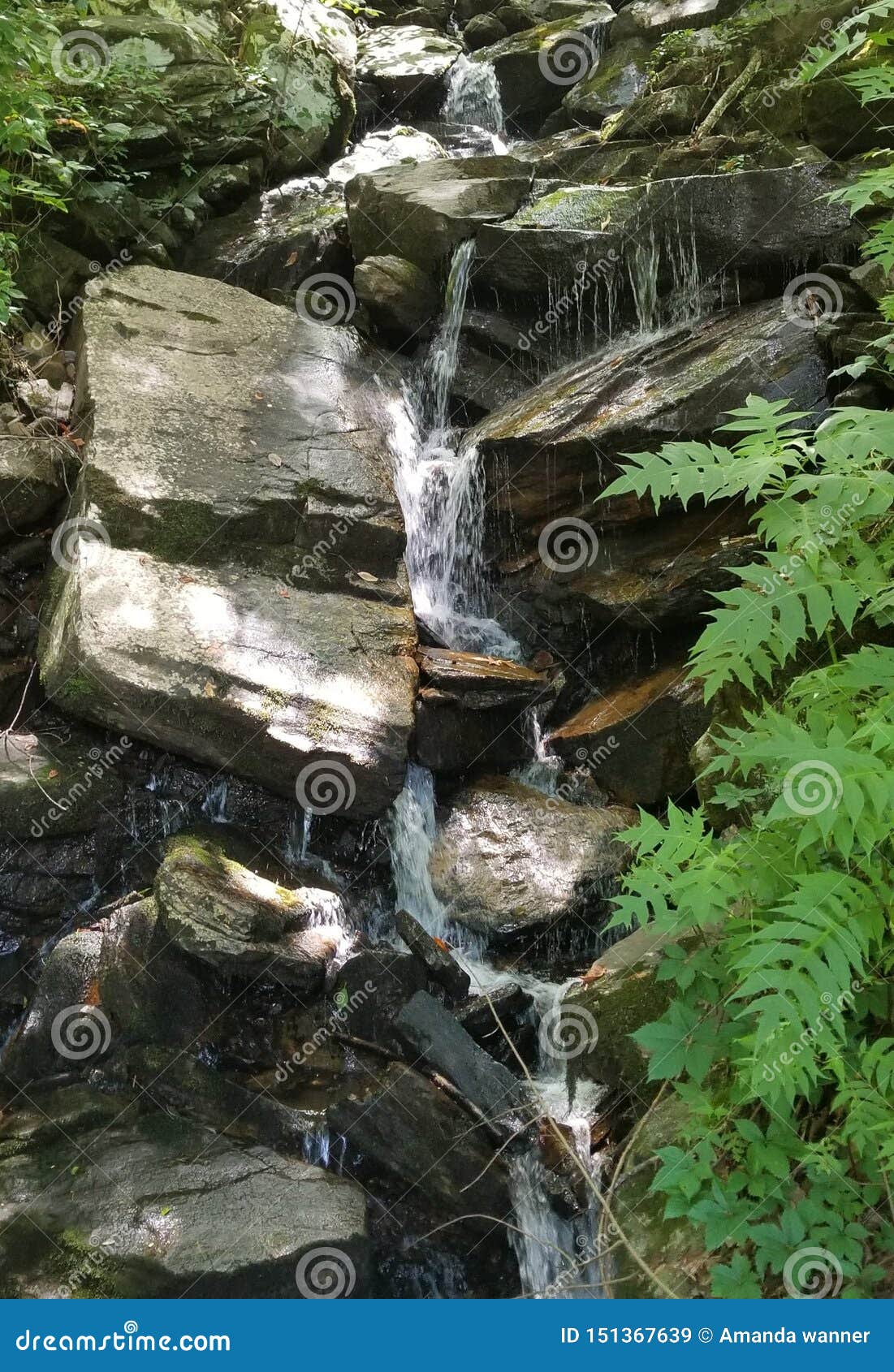 Waterfall Pouring Down Rocks Stock Image - Image of forest, stream ...
