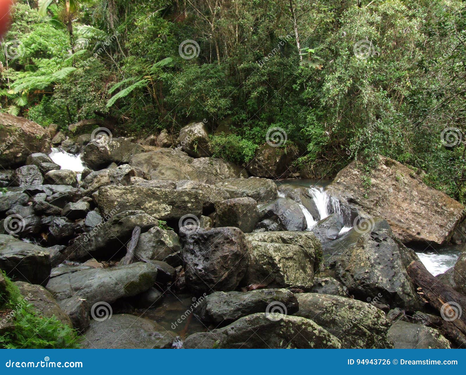 Waterfall stock photo. Image of yunque, stones, biome - 94943726