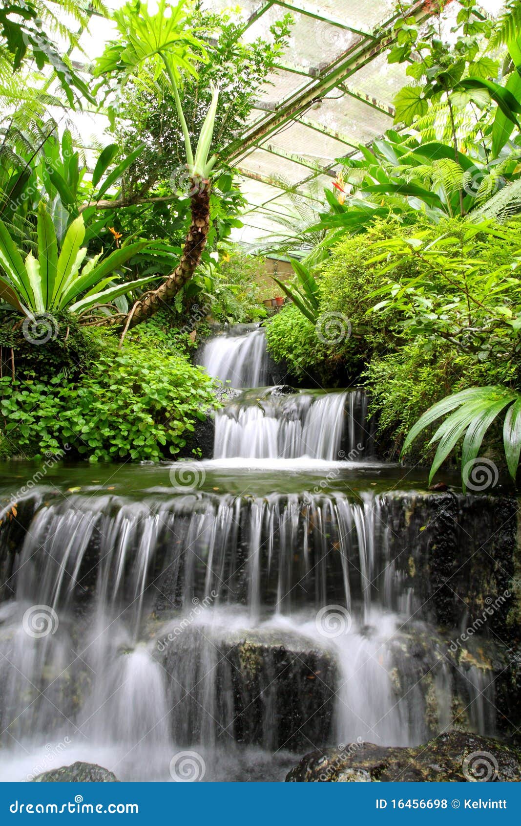 Waterfall in the Rain Forest Stock Photo - Image of abstract, element ...
