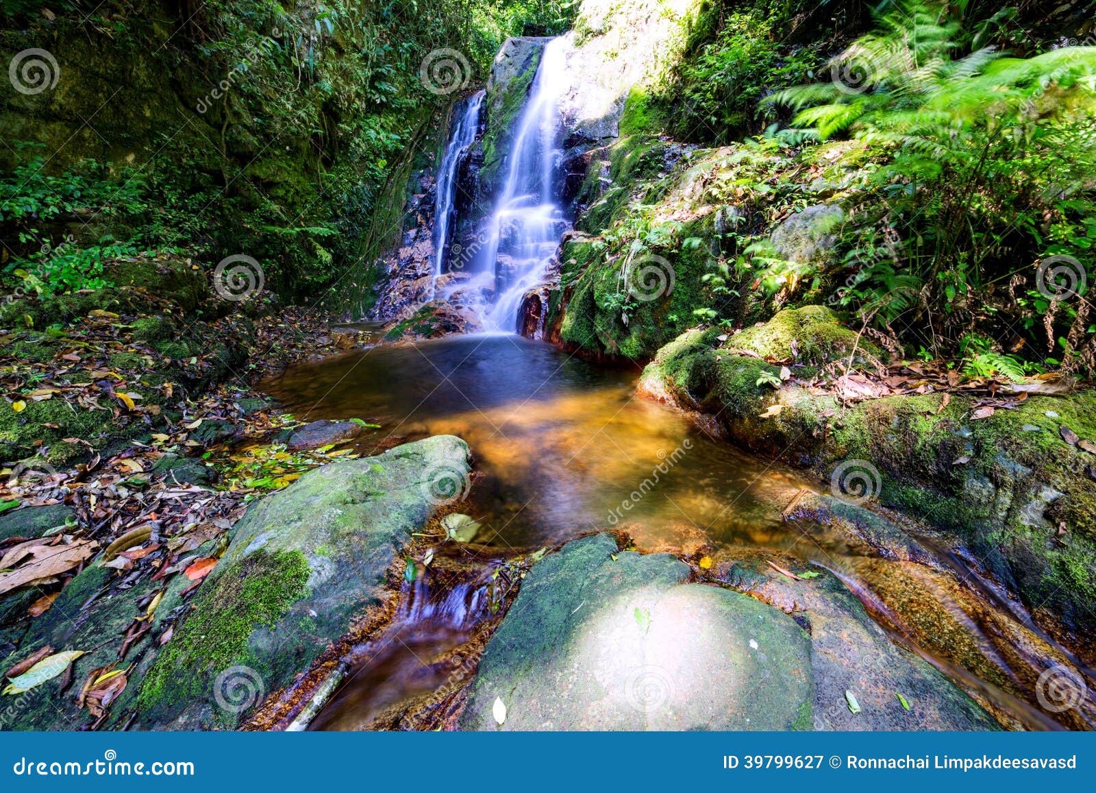 Waterfall in rain forest stock image. Image of middle - 39799627