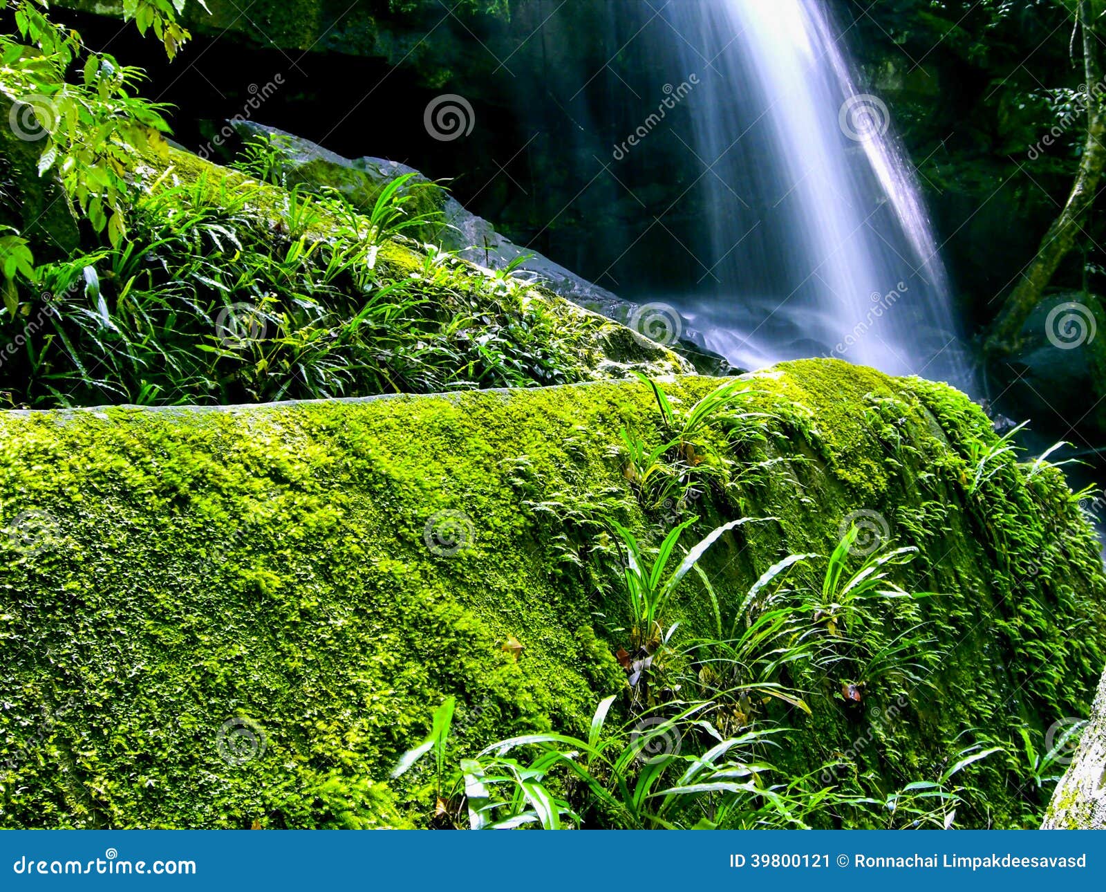 Waterfall in rain forest stock image. Image of forest - 39800121