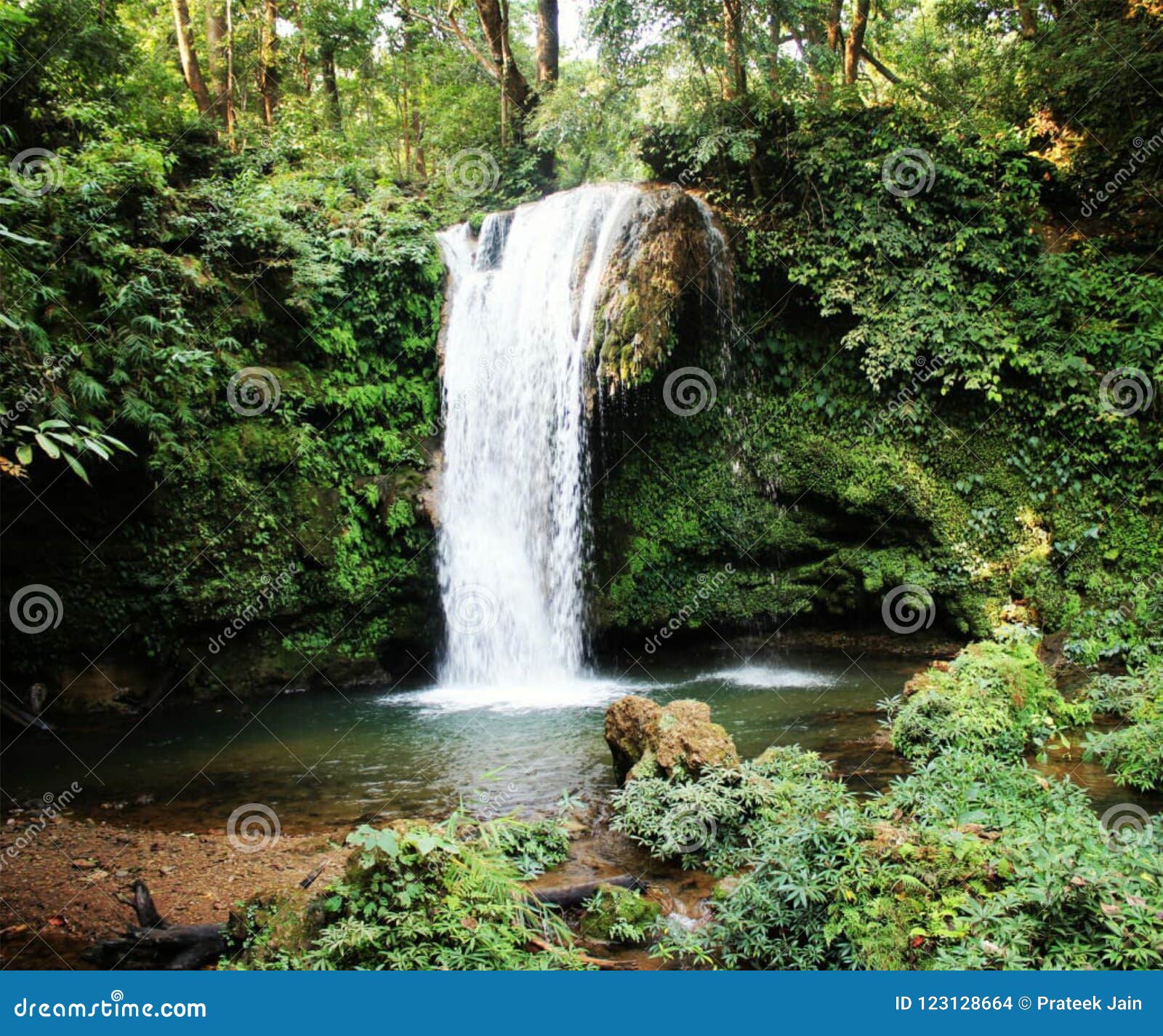 Waterfall.Waterfall in the Rain Forest Stock Photo - Image of natural ...