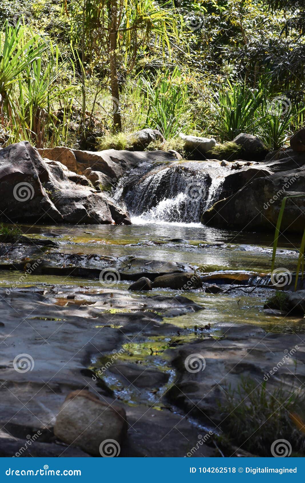 Madagascar Waterfall Royalty-Free Stock Image | CartoonDealer.com #41400352