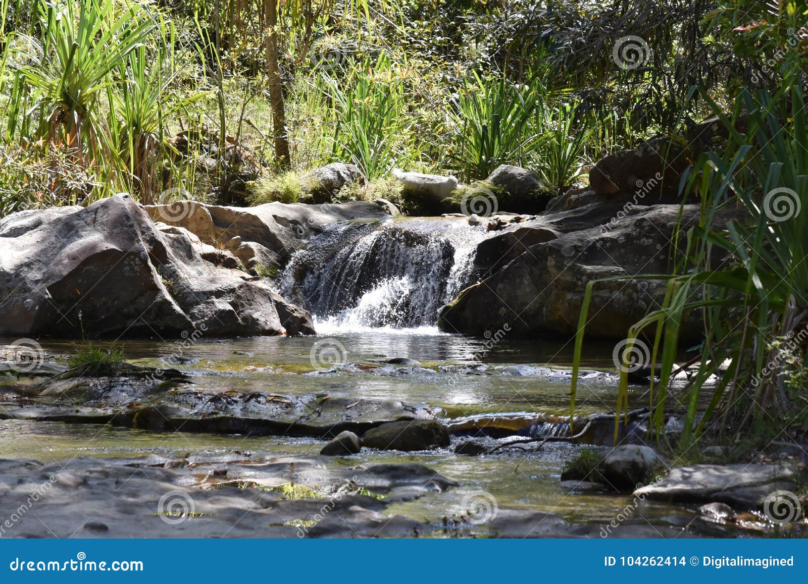 Rainforest Waterfall Madagascar Stock Photo - Image of jungle, idyllic ...