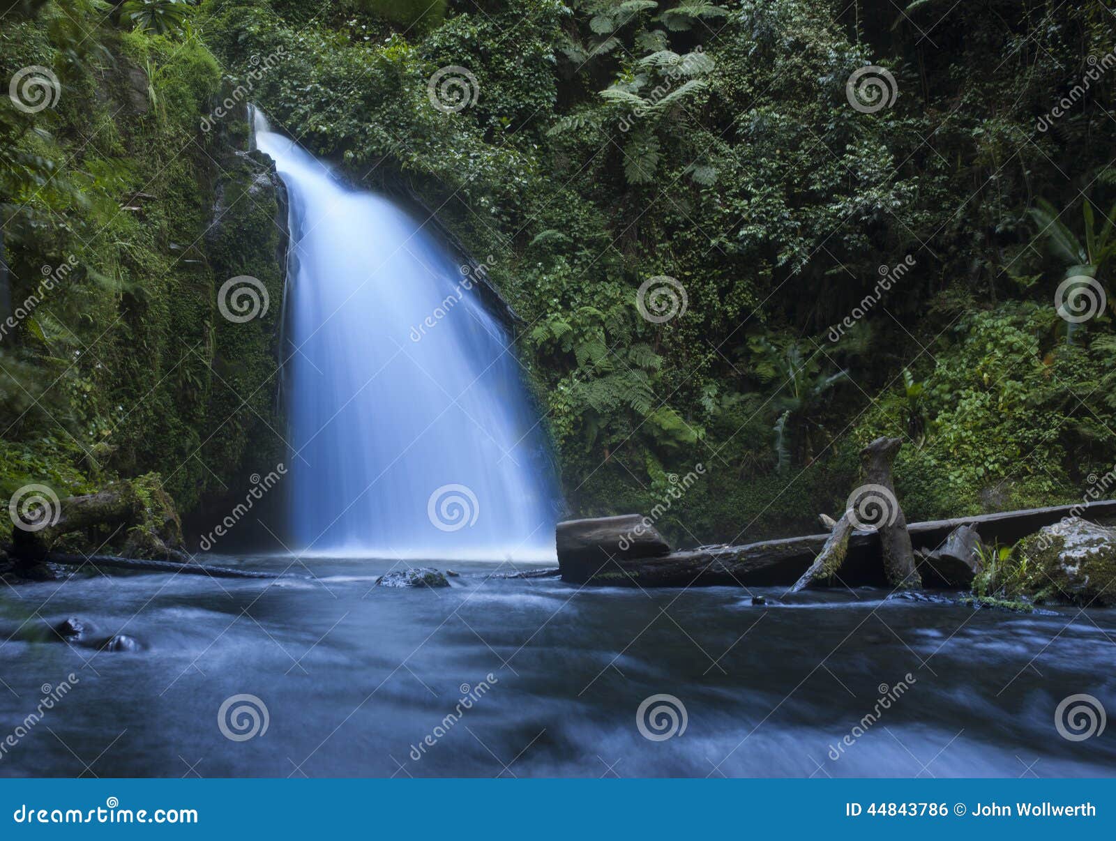 Waterfall in Rain Forest on Mount Kenya Stock Photo - Image of mountain ...