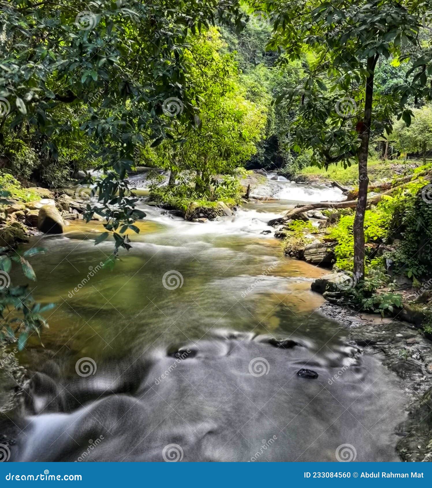 Waterfall in Rain Forest Park Stock Photo - Image of rain, wilderness ...