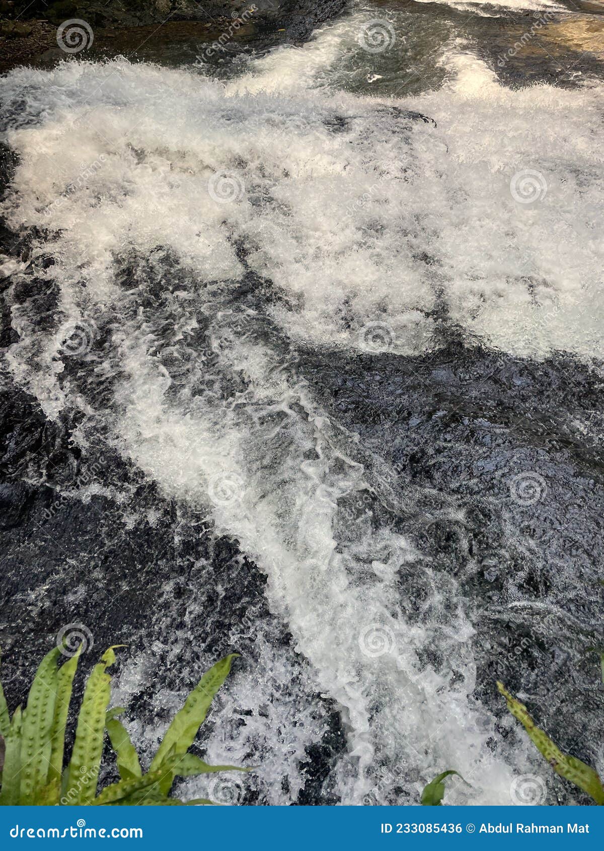 Waterfall in Rain Forest Park Stock Photo - Image of tree, wilderness ...