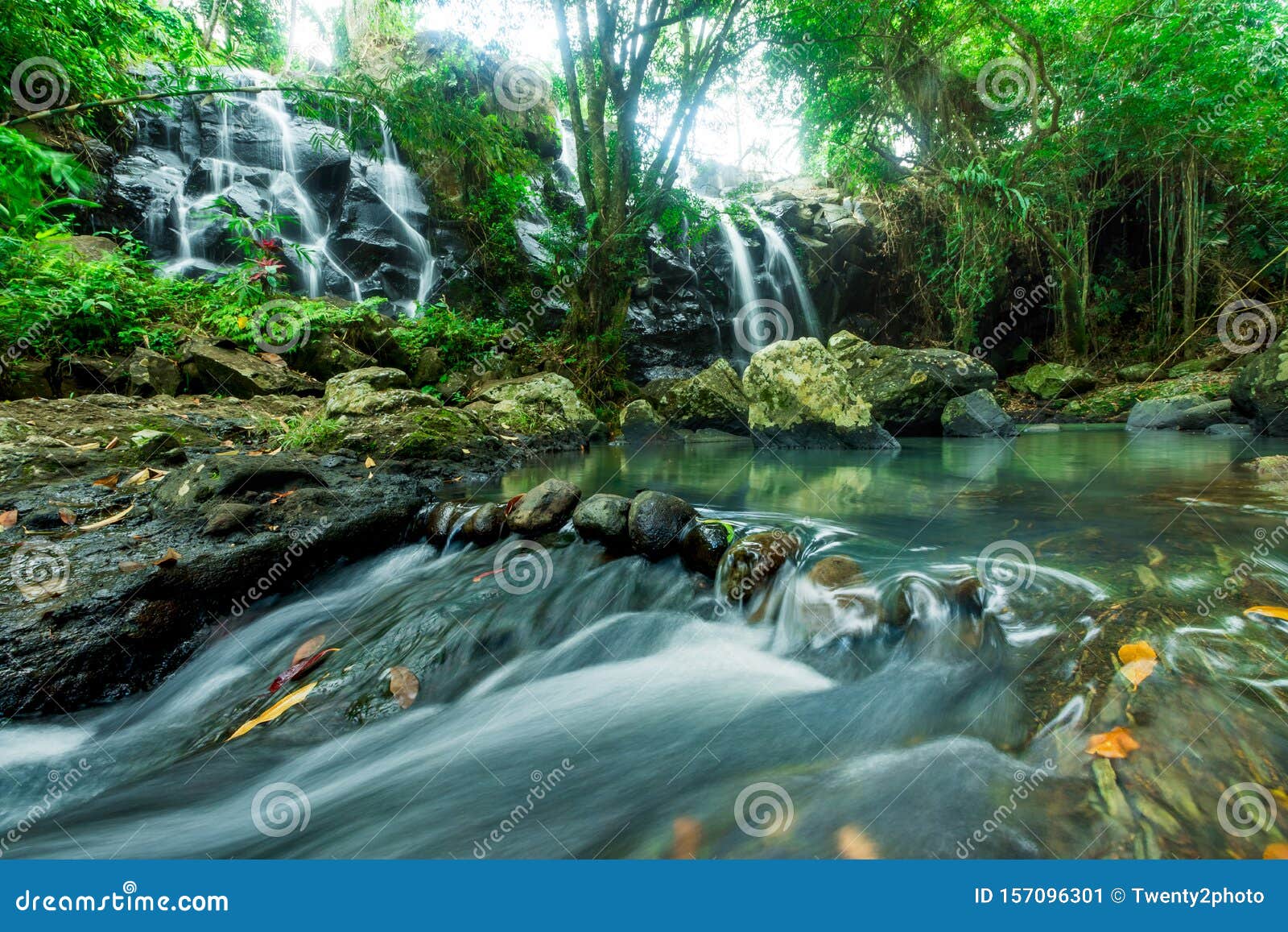 Waterfall in the Rain Forest with Rapids Flowing Down Stream in the ...