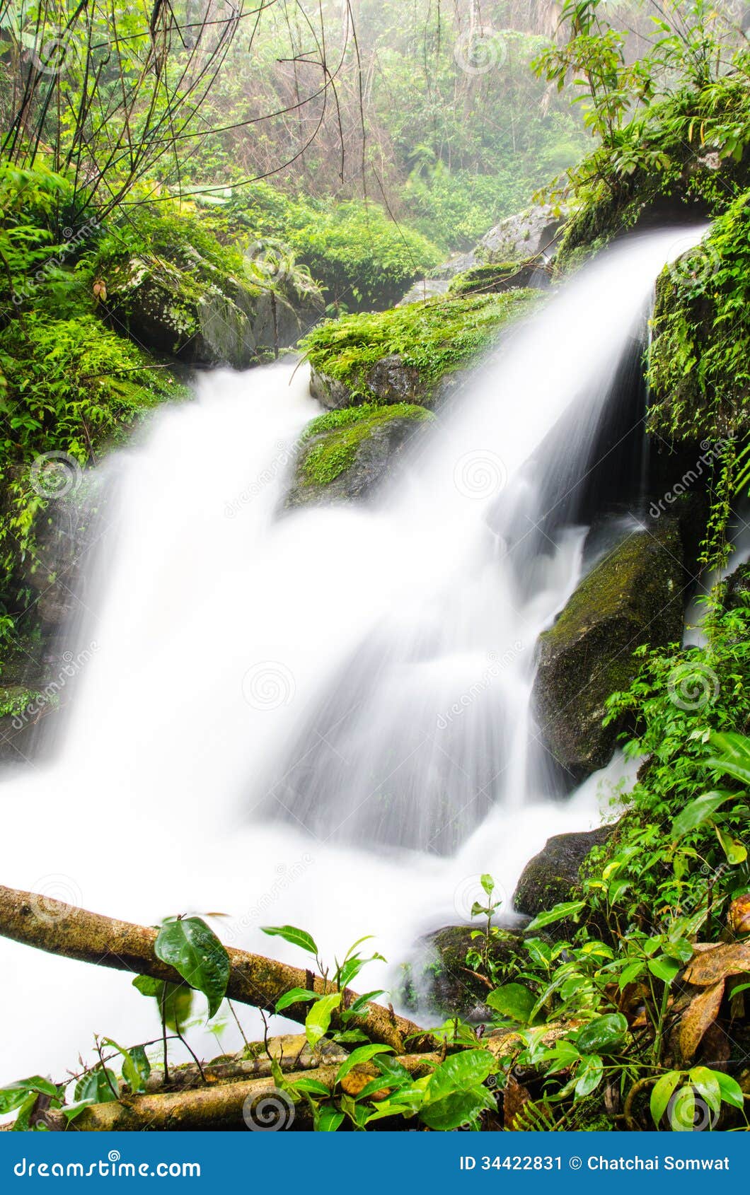 Waterfall in rain forest. stock image. Image of relax - 34422831