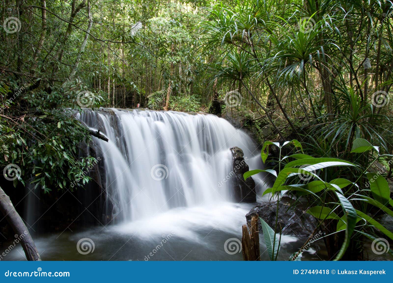 Waterfall in rainforest stock photo. Image of botany - 27449418