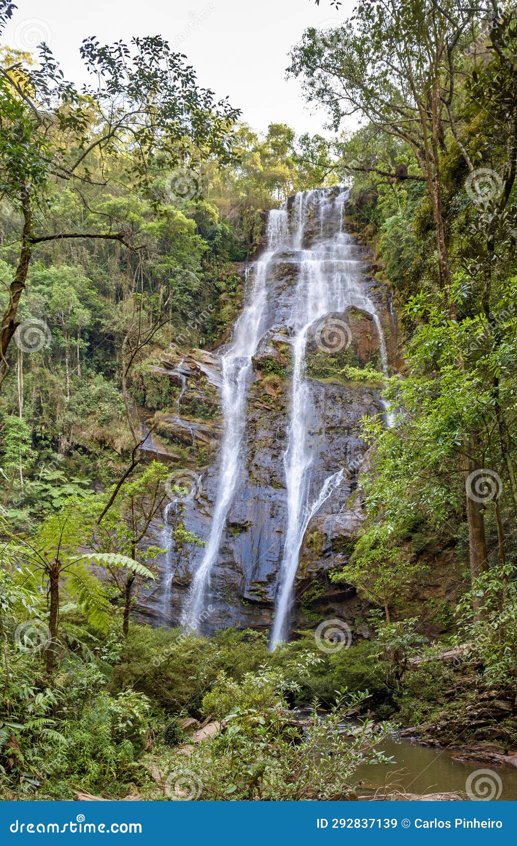 Waterfall within the Rainforest Stock Image - Image of powerful ...
