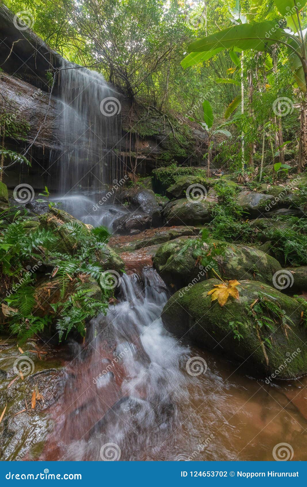 The Waterfall on Raining Season Stock Photo - Image of large, brown ...