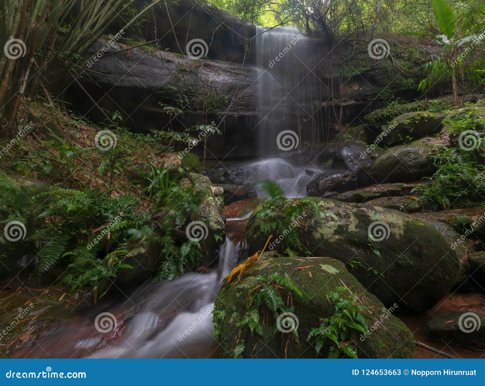 The Waterfall on Raining Season Stock Image - Image of edible, magic ...