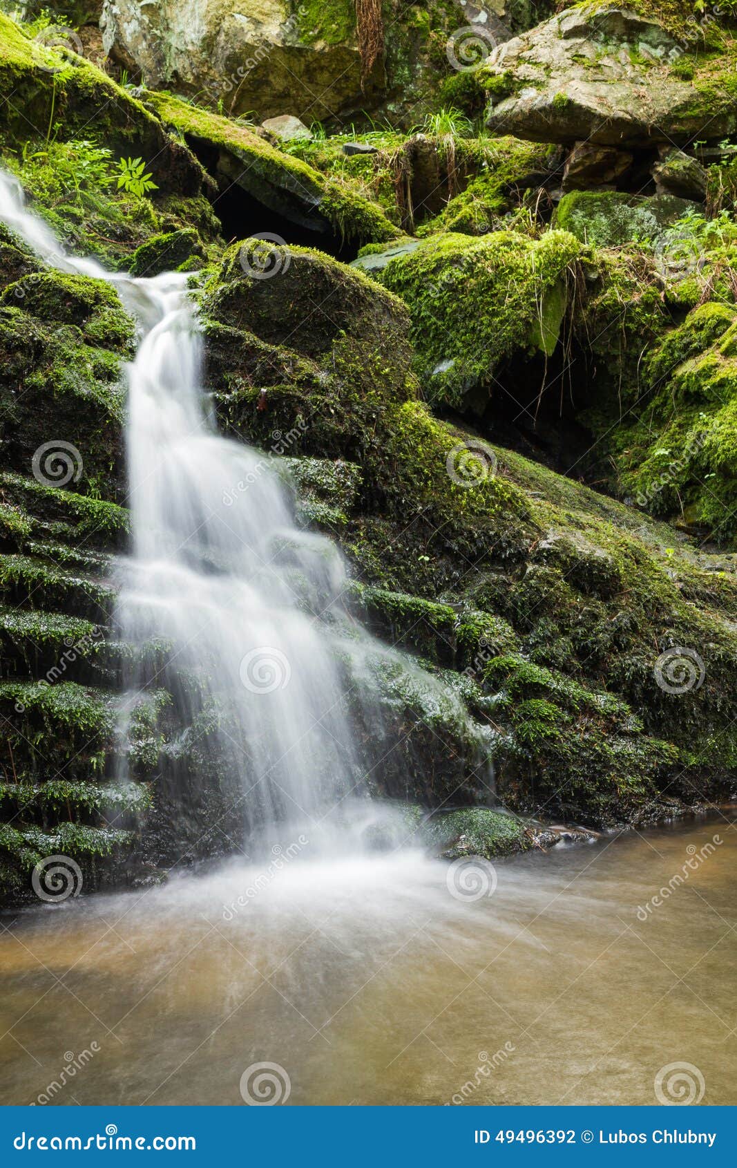 Waterfall from ravine stock photo. Image of spring, leaf - 49496392