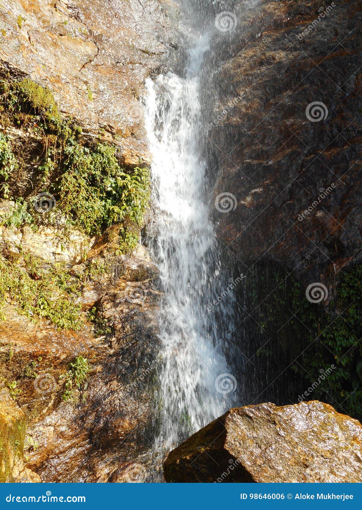 Waterfall stock photo. Image of close, real, forest, fall - 98646006