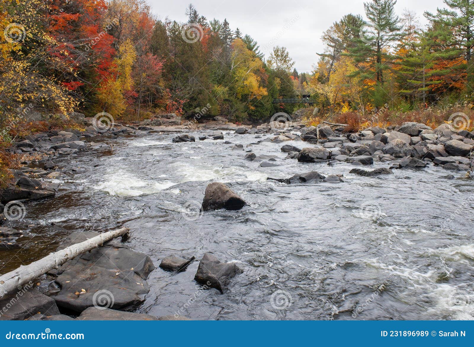 Waterfall Regional Park, Sainte-Beatrix Stock Image - Image of park ...
