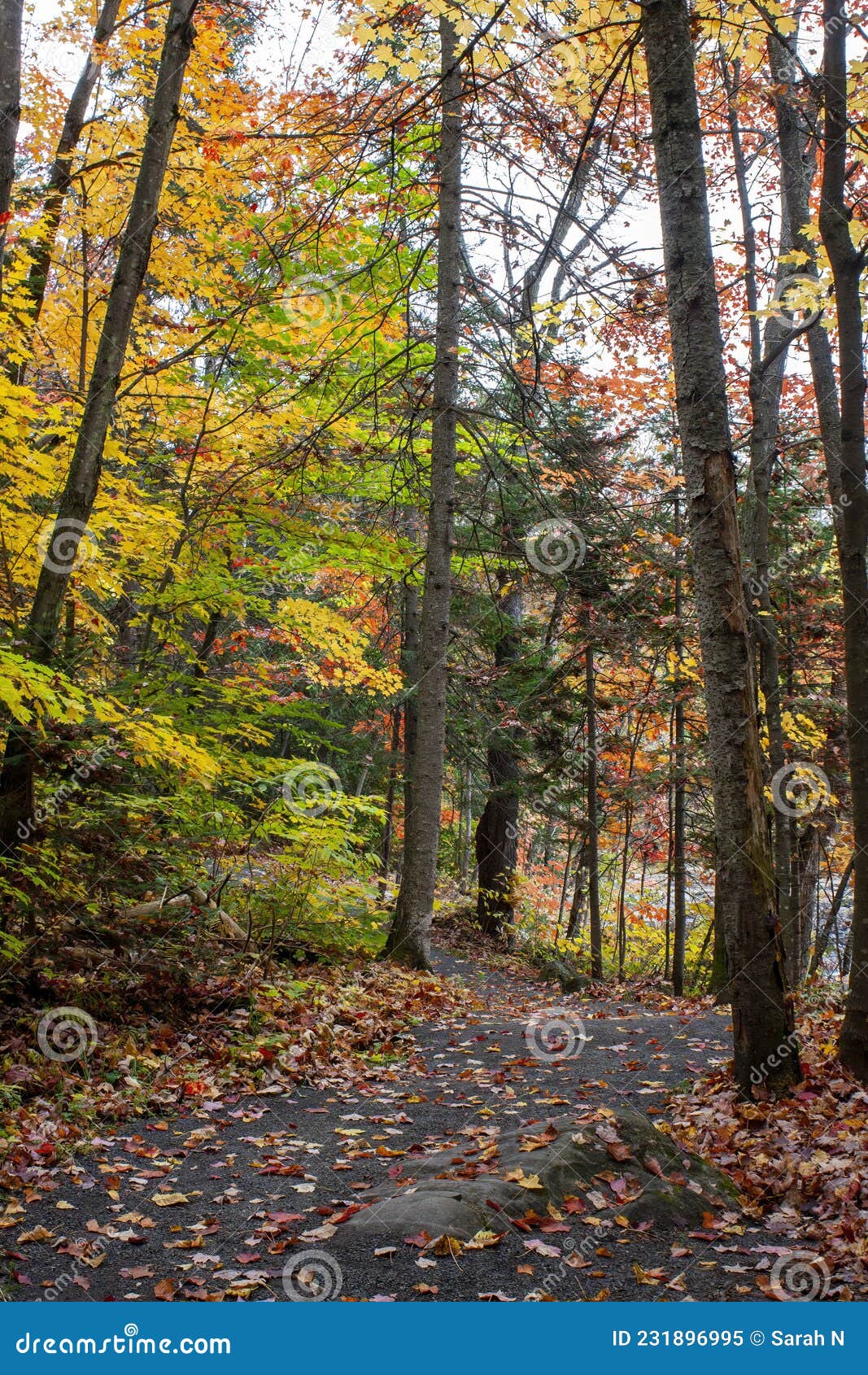 Waterfall Regional Park, Sainte-Beatrix Stock Image - Image of ...