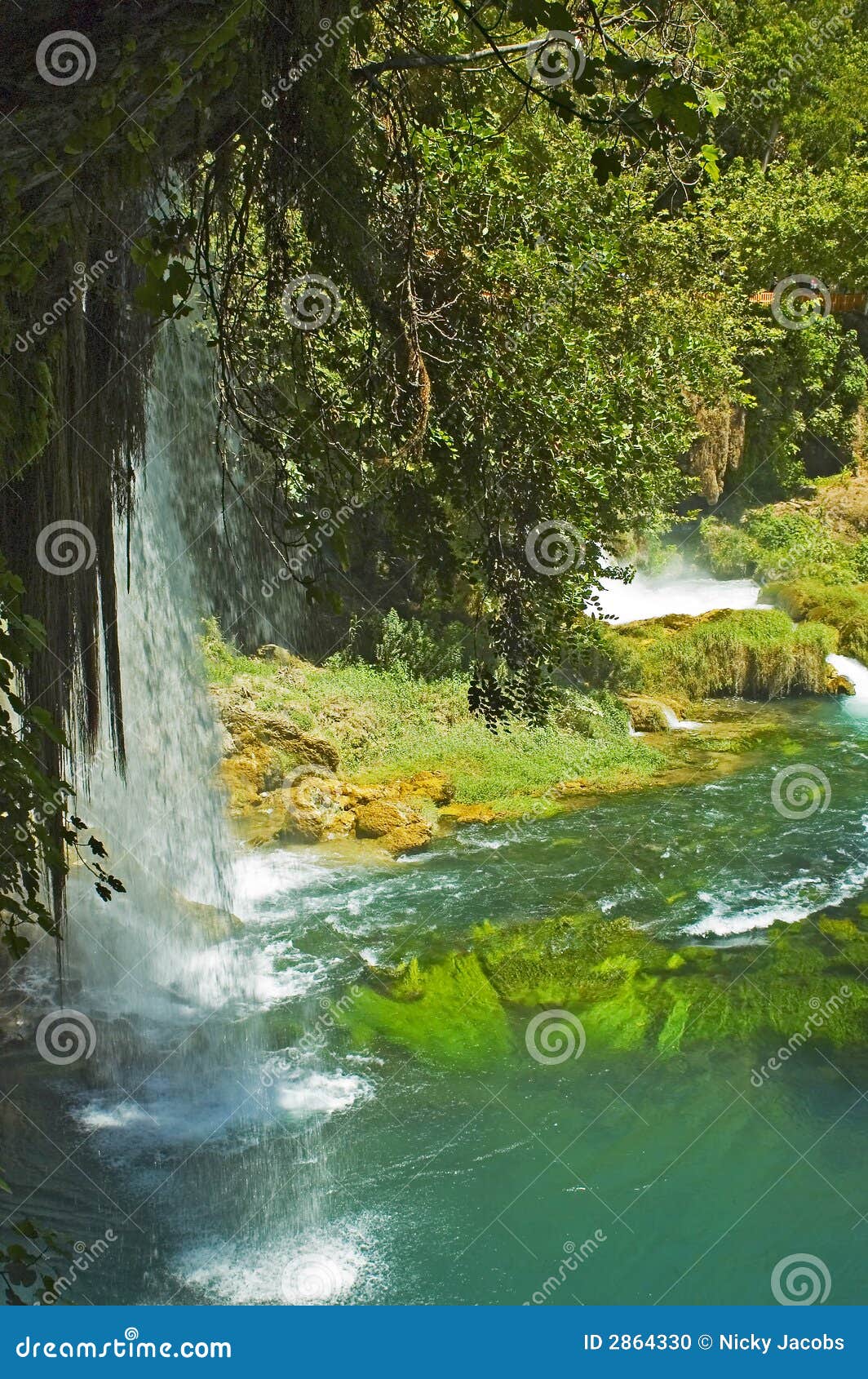 Waterfall and river stock photo. Image of falling, woods - 2864330