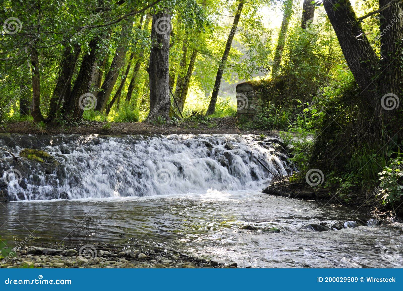 Waterfall on the River Bank Stock Image - Image of grove, beautiful ...