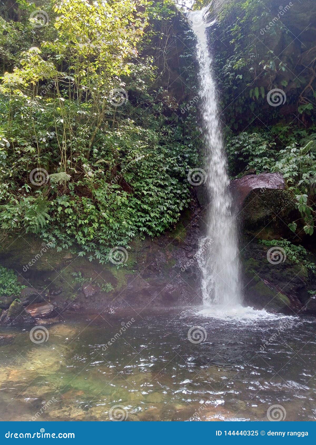 Beauty Waterfall Look at Forest at East Java Stock Image - Image of ...