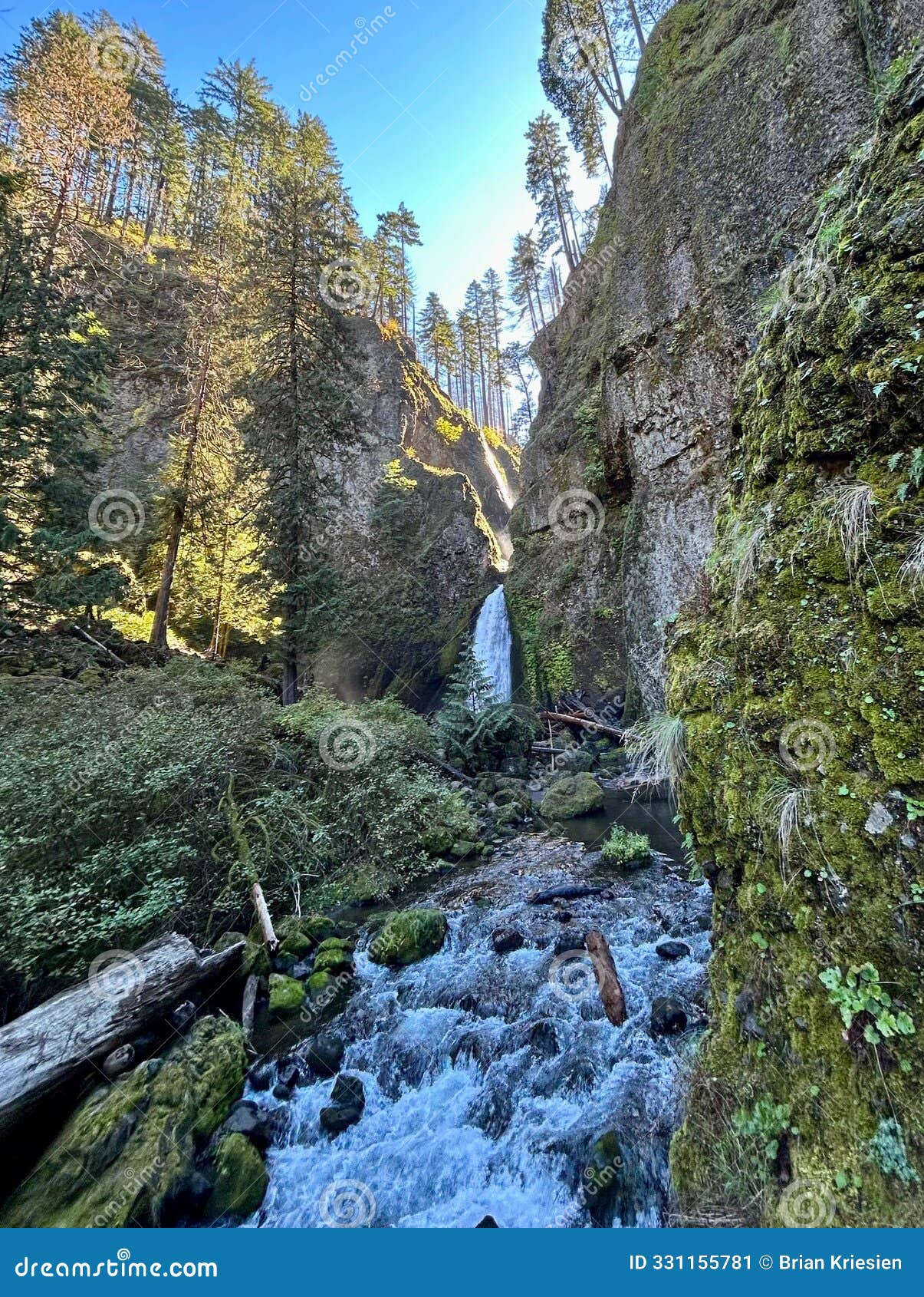 Waterfall and River with High Rock Walls and Trees Stock Image - Image ...