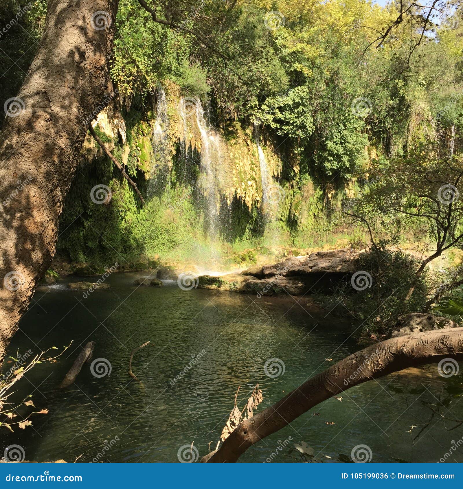 Waterfall on the river stock photo. Image of fresh, wood - 105199036