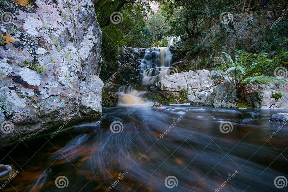 Waterfall with river stock image. Image of forest, waterfall - 191087999