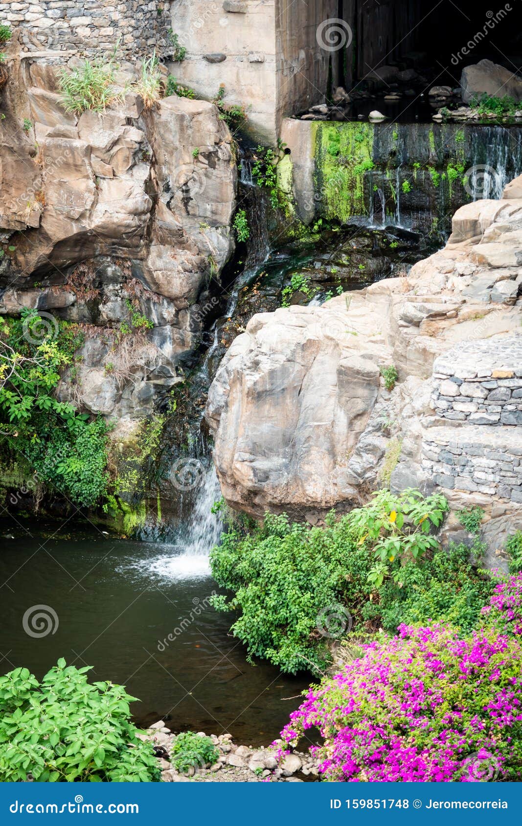 Waterfall in the Rock of the Cliff Stock Photo - Image of plants, park ...