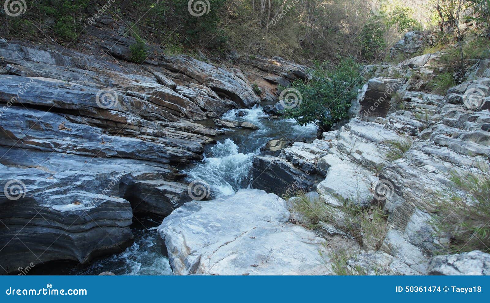 Waterfall rocks stock photo. Image of clear, shrub, scenery - 50361474