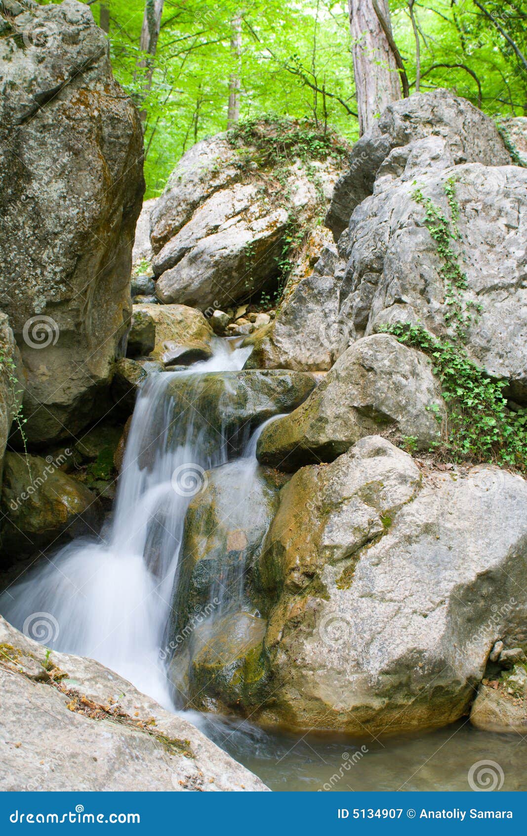 Waterfall in Rocks in Green Relic Forest Stock Image - Image of stream ...