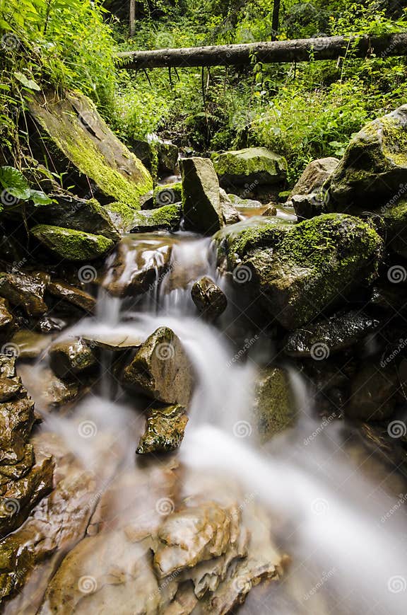 Waterfall, Rocks and Old Tree in the Forest Stock Image - Image of ...