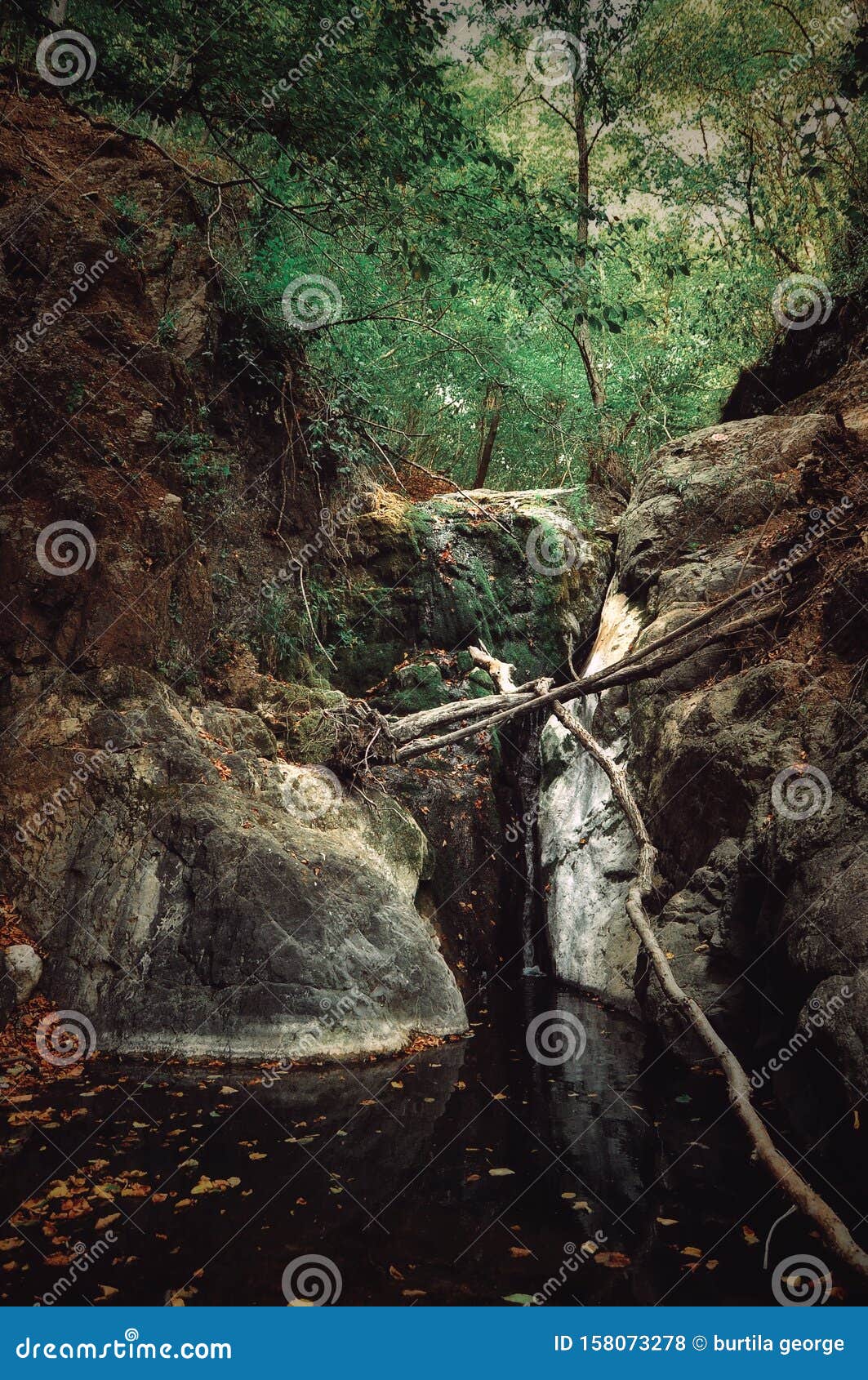 Waterfall stock photo. Image of water, stone, trees - 158073278