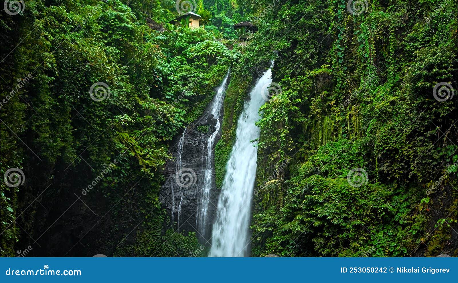 Waterfall with Rocks among Tropical Jungle with Green Plants and Trees ...