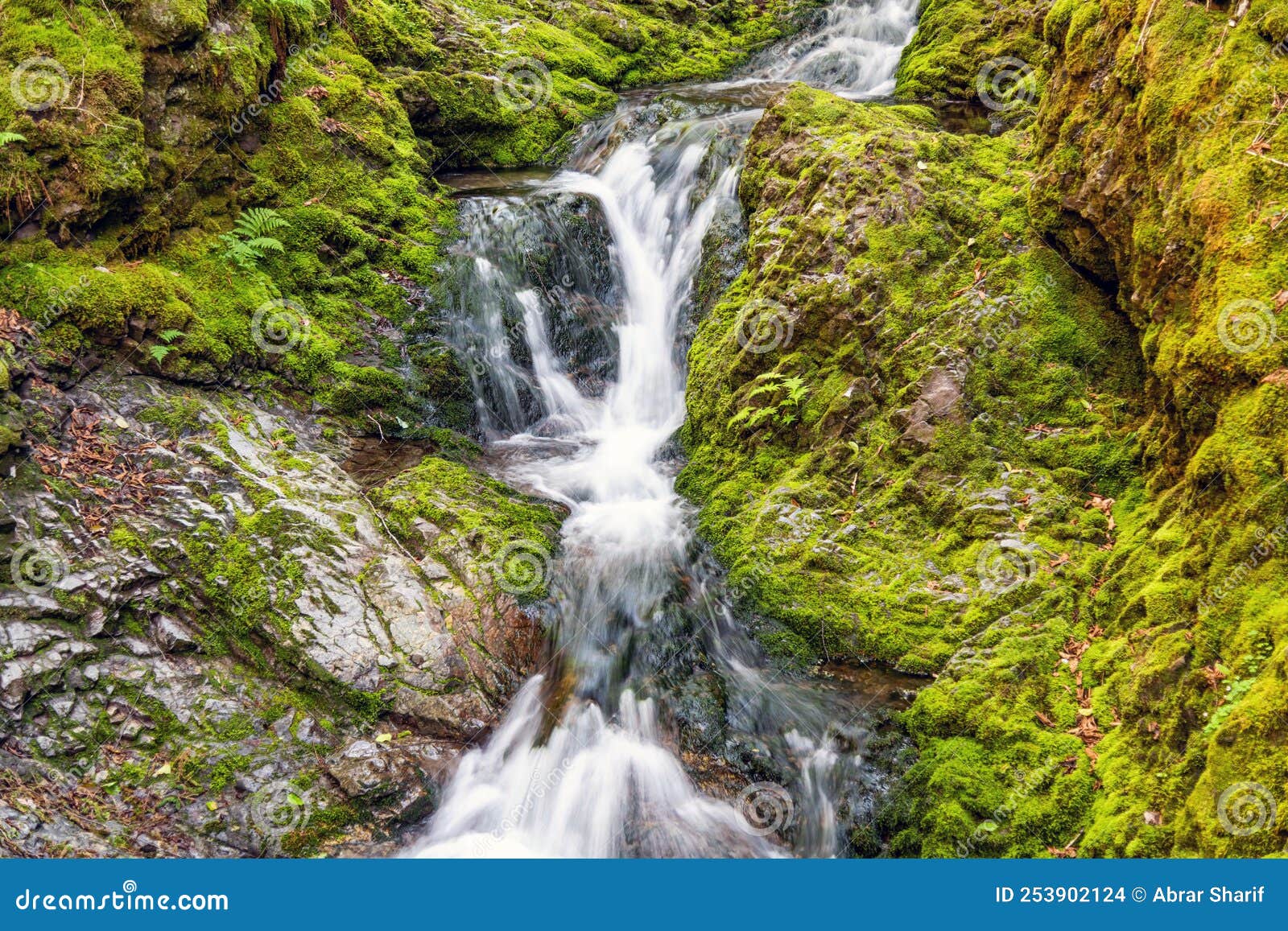 Waterfall between the Rocky Mountains and Jungle in Canada Stock Photo ...
