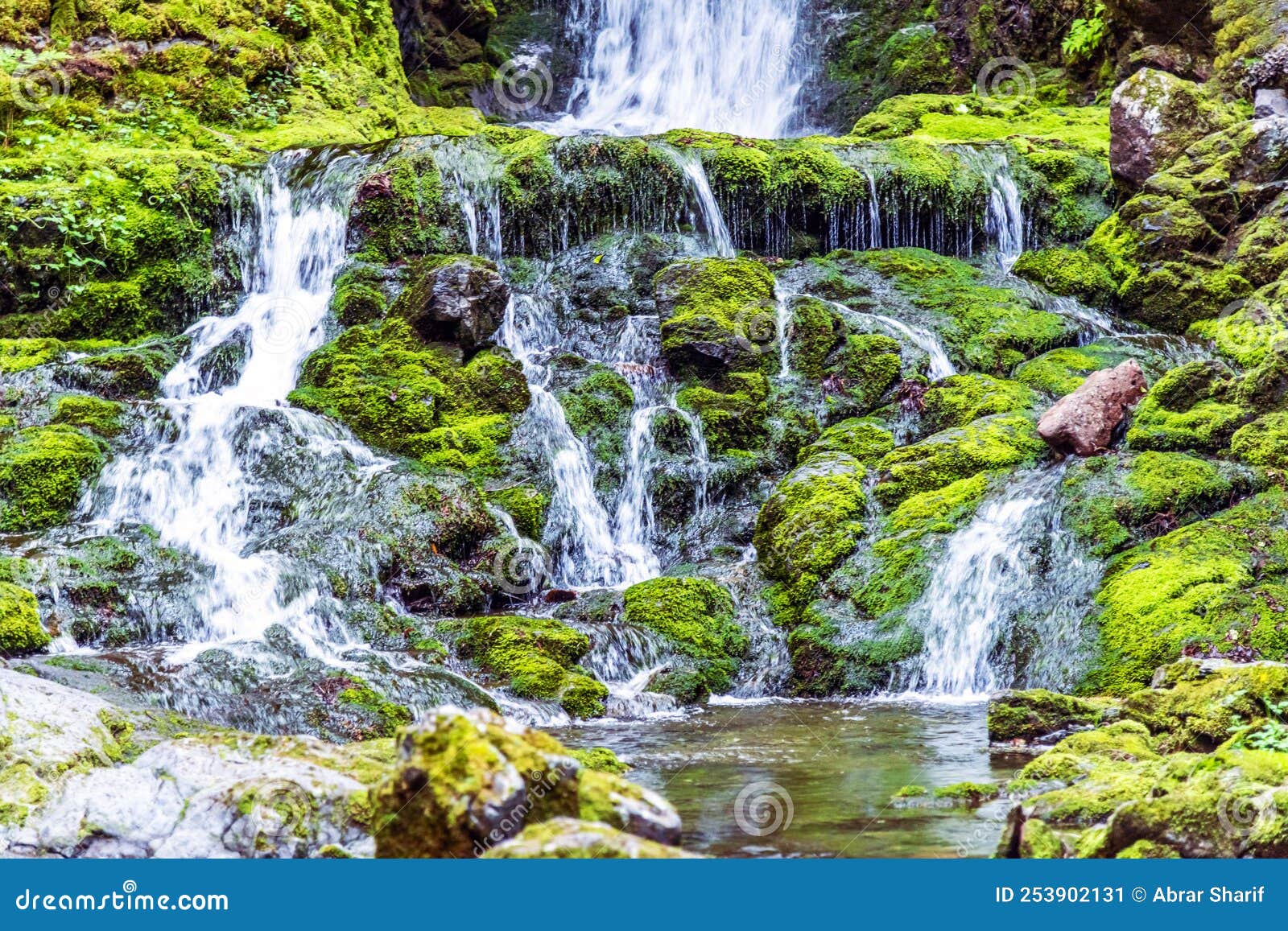 Waterfall between the Rocky Mountains and Jungle in Canada Stock Image ...