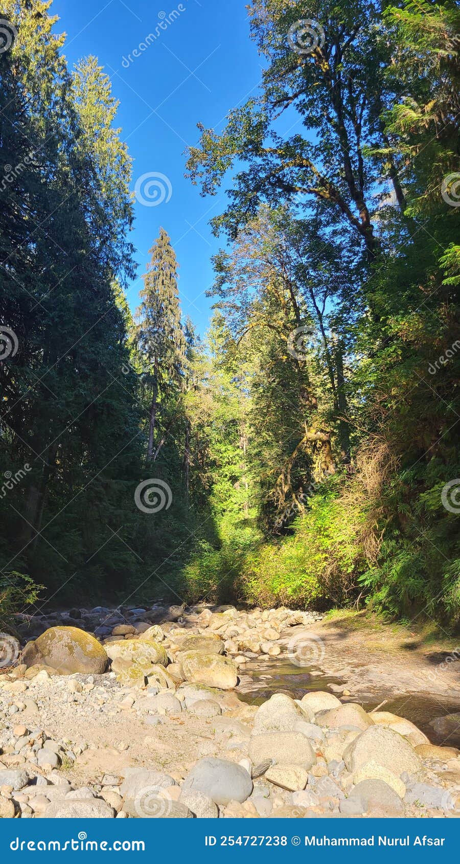 Waterfall and rocky path stock photo. Image of leaf - 254727238