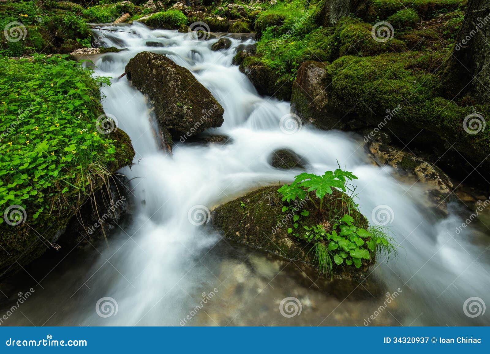 Waterfall in Romania stock image. Image of peaks, panoramic - 34320937