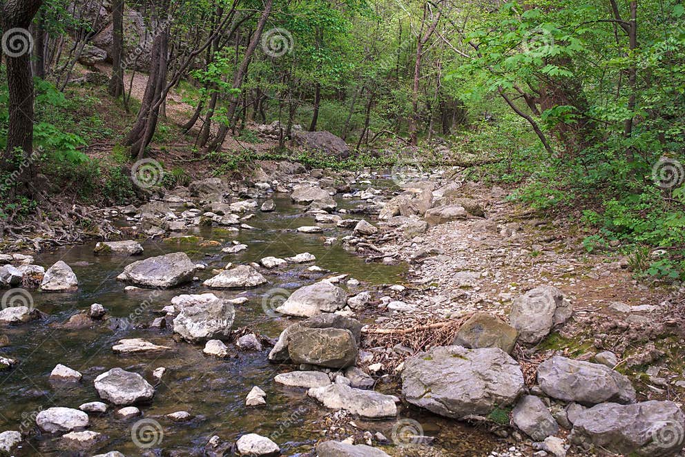 Waterfall of Rosandra River Stock Image - Image of mountain, waterfall ...