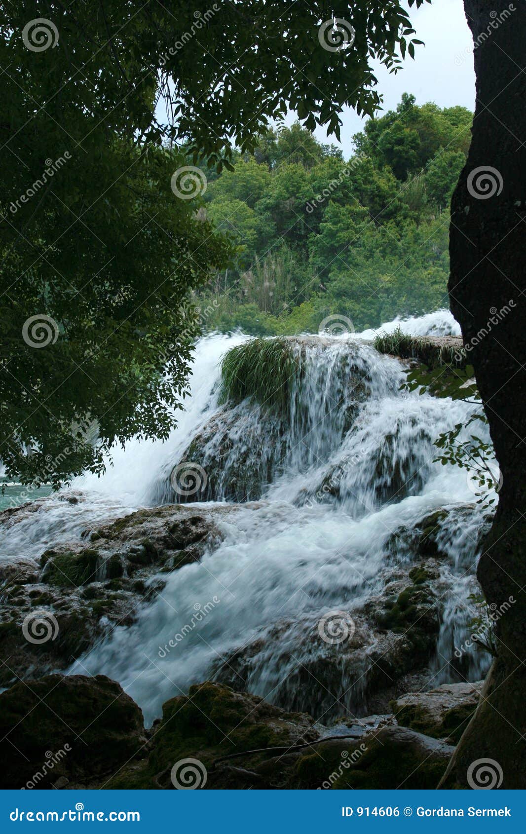 Waterfall Running Under the Tree Stock Photo - Image of skradin, canyon ...