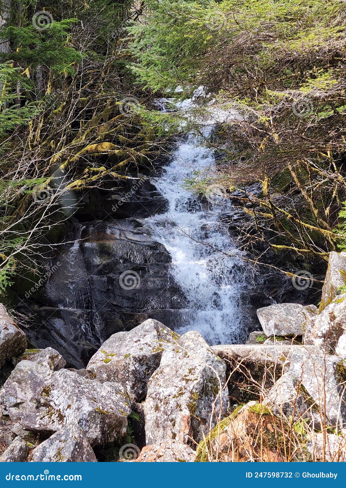 Waterfall safe zone stock photo. Image of terrain, safe - 247598732