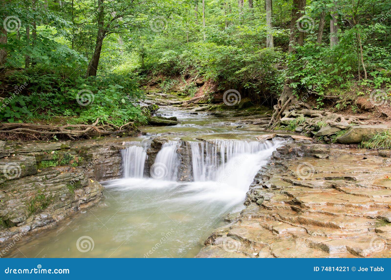 Waterfall at Saunders Spring Stock Image - Image of waterfall, nature ...