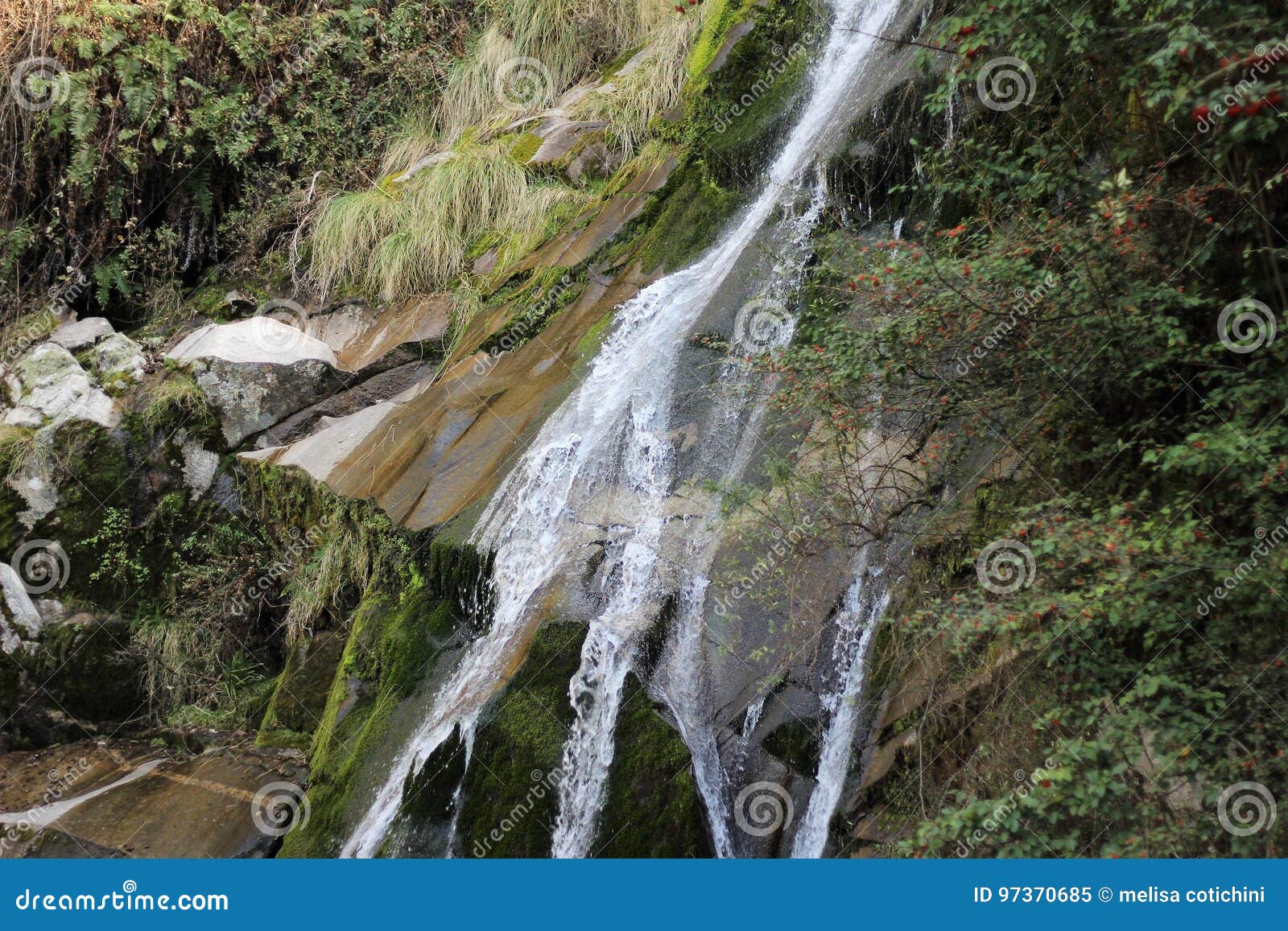Waterfall scene stock image. Image of cornersoftheworld - 97370685